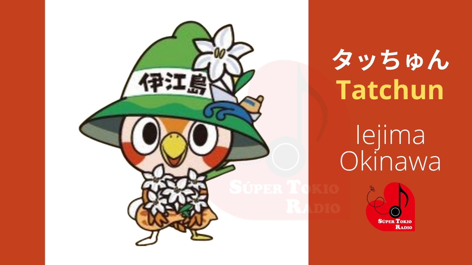 Mascotas de Japón: Tatchun, el gorrión de la isla Iejima en Okinawa ...